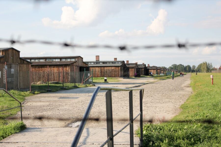 From Kraków: Auschwitz-Birkenau Memorial Guided Tour - Whats Included and Whats Not