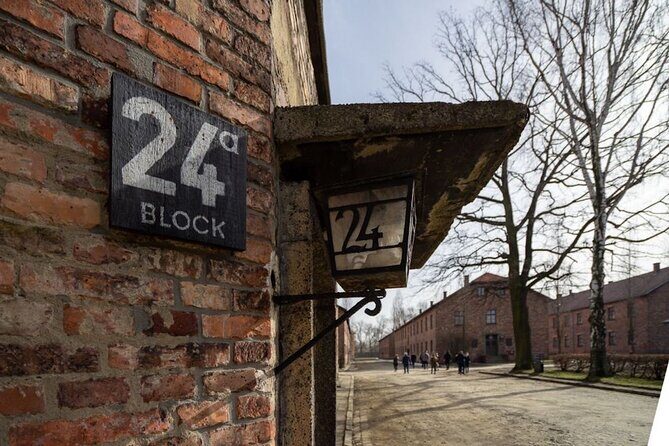 From Kraków: Auschwitz-Birkenau Tour with Lunch Box and Pick Up - What to Expect from the Auschwitz-Birkenau Tour