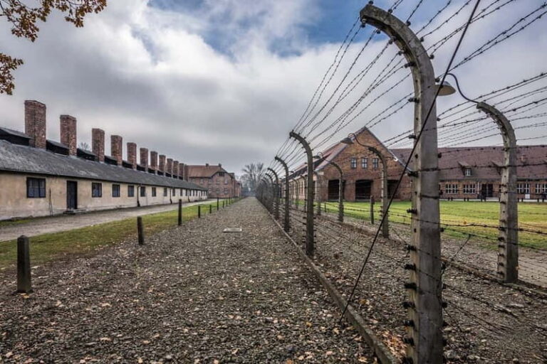 From Krakow: Auschwitz-Birkenau Tour with Transfer - What Reviewers Say