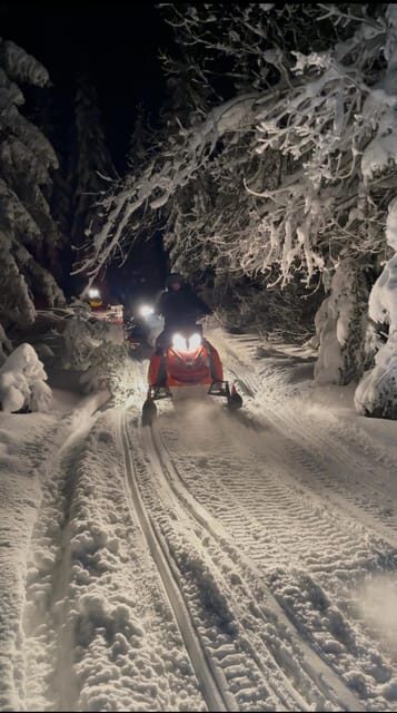 From Krakow: Zakopane Snowmobile NIGHT Ride, Bonfire, - An In-Depth Look at the Zakopane Snowmobile Night Ride & Bonfire Tour