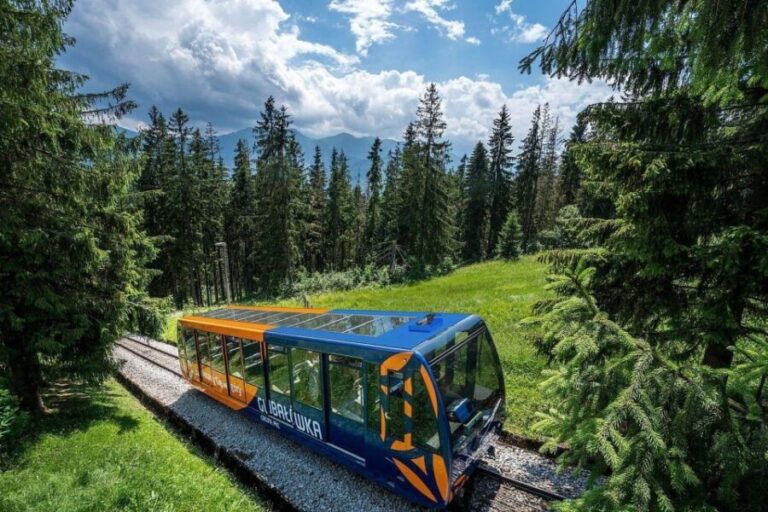 From Krakow: Zakopane Tour with Hotel Pickup & Thermal Baths - Who Would Enjoy This Tour?