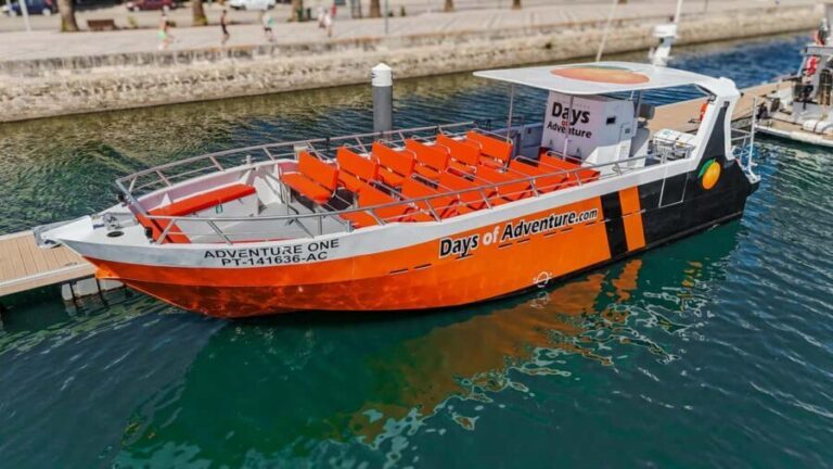 FROM LAGOS: BENAGIL AND DOLPHIN WATCHING - JETBOAT - Dolphin Watching (Approximately 1 Hour)