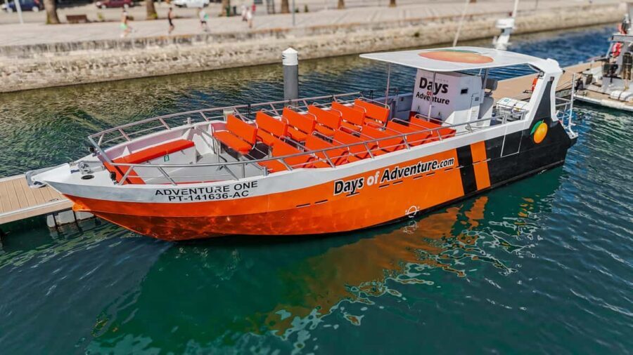 FROM LAGOS: BENAGIL AND DOLPHIN WATCHING - JETBOAT - Dolphin Watching (Approximately 1 Hour)