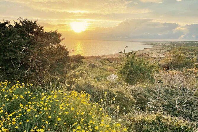 From Larnaca - Cape Greko Highlights Tour (Group of 5 People) - The Experience of the Guides