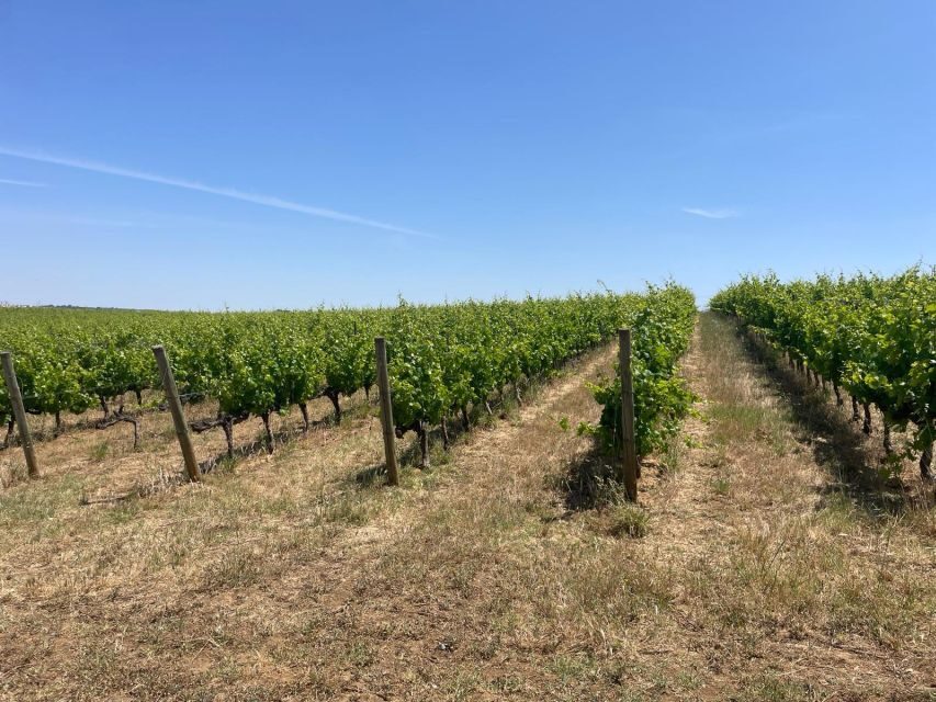 From Lisbon: Évora, Chapel of Bones, & Roman Temple Tour - The Value of This Tour