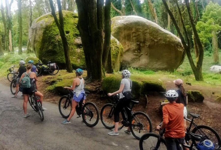 From Lisbon: Sintra and Cascais E-Bike Tour - A Deep Dive into the Sintra and Cascais E-Bike Tour