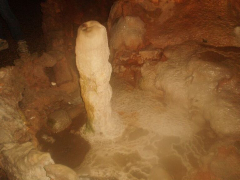 From Lisbon: Tomar Templar Full-Day Private Tour - An In-Depth Look at the Tour Experience