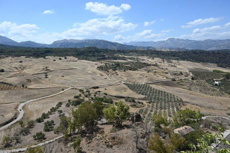 From Malaga: Ronda y Setenil de la Bodegas Day Trip by coach - A Deep Dive into the Itinerary