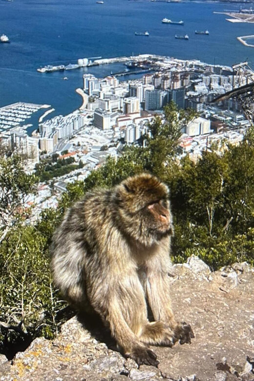 From Marbella/Estepona: VIP Gibraltar Tour Monkeys + Nature Reserve + Shopping - On the Value of This Tour