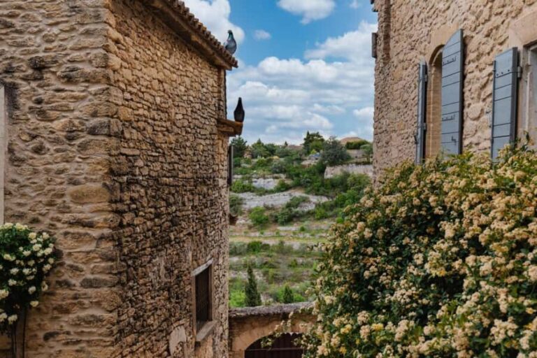 From Marseille Cruise Port: Luberon Villages - The Value of This Tour