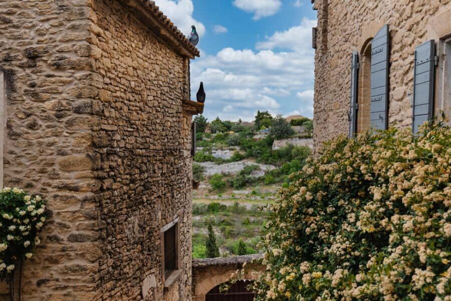 From Marseille Cruise Port: Luberon Villages - The Value of This Tour
