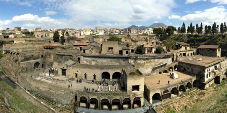 From Naples: Day Trip to Herculaneum with skip the line - Who Should Consider This Tour?