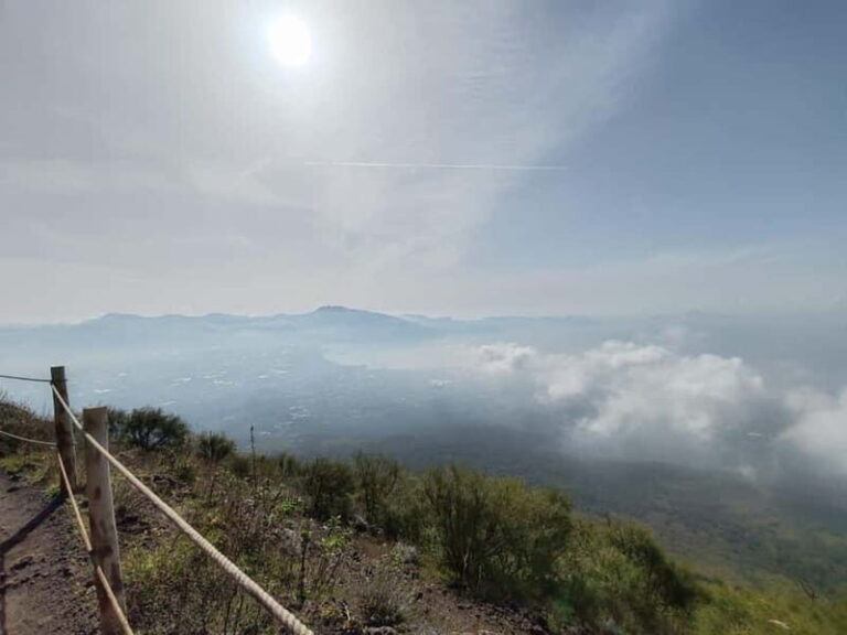From Naples: Explore the ruins of Herculaneum and Vesuvius - Practical Details That Matter