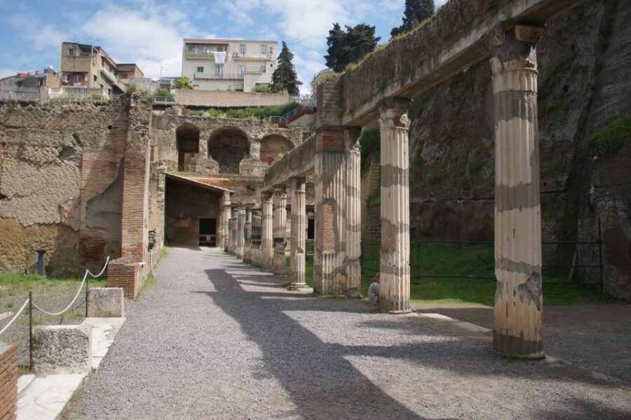 From Naples or Herculaneum: Half-Day Tour in Herculaneum - The pros and cons of this tour