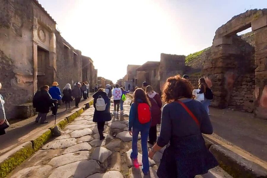 From Naples: Pompeii Guided Tour, Skip-the-Line & Transport - What to Expect from the Pompeii Guided Tour