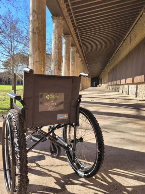 From Naples: Pompeii Wheelchair-accessible with a Guide - Who Would This Tour Suit Best?
