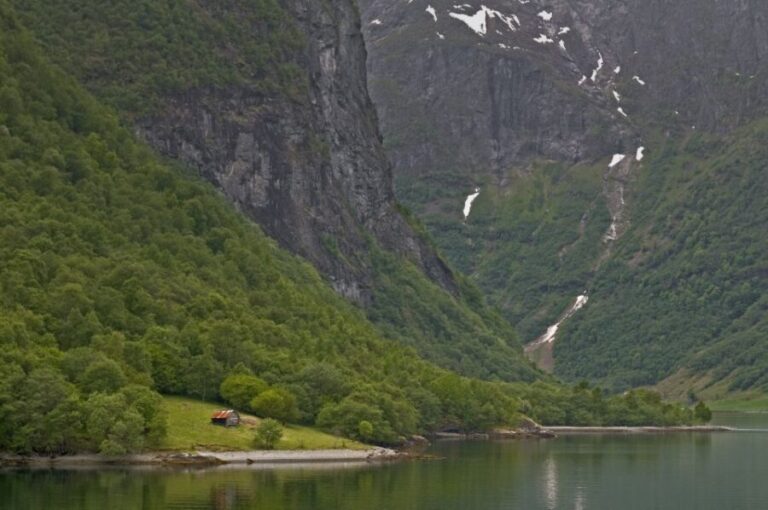 From Oslo: Private Round-Trip Tour to Sognefjord via Flåm - What’s Included and What to Consider
