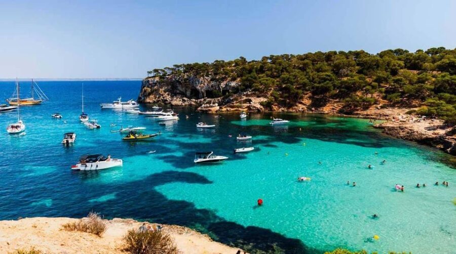 From Palma: Portal Vells Beach and Cave SUP & Snorkel Tour - Starting Point and Transportation