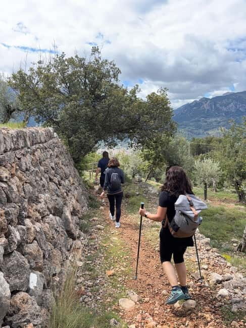 From Palma: Sierra de Tramuntana Hiking with small Picnic - An In-Depth Look at the Sierra de Tramuntana Hiking Tour