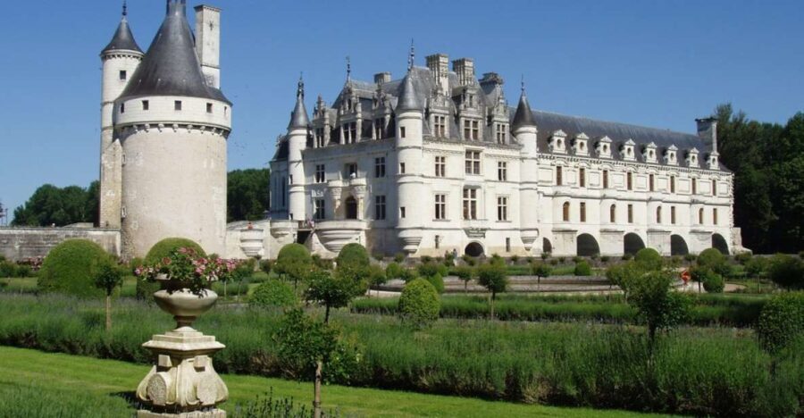 From Paris: Loire Valley Castles Full-Day Tour with Lunch - Real Guest Experiences and Insights
