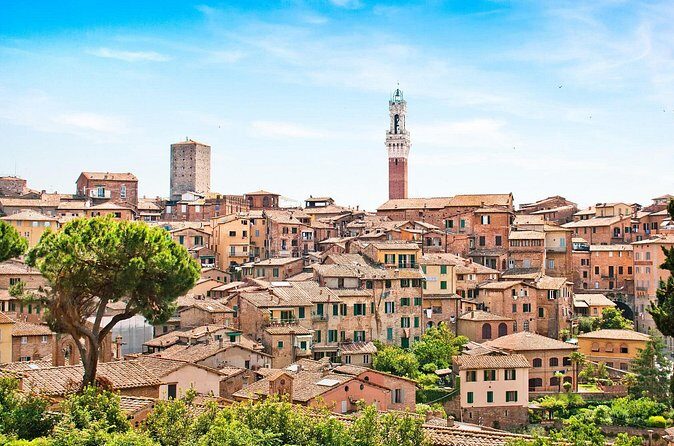 From Pisa or Lucca: Siena and San Gimignano Small Group Tour - The Highlight: Wine Tasting in the Tuscan Countryside