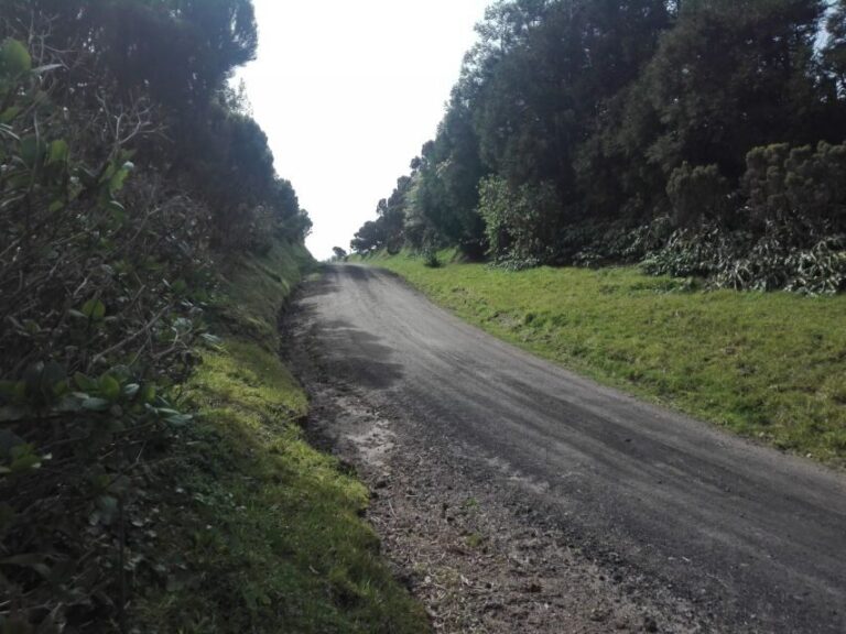 From Ponta Delgada: Vista do Rei to Sete Cidades Guided Trek - What’s Included and What’s Not