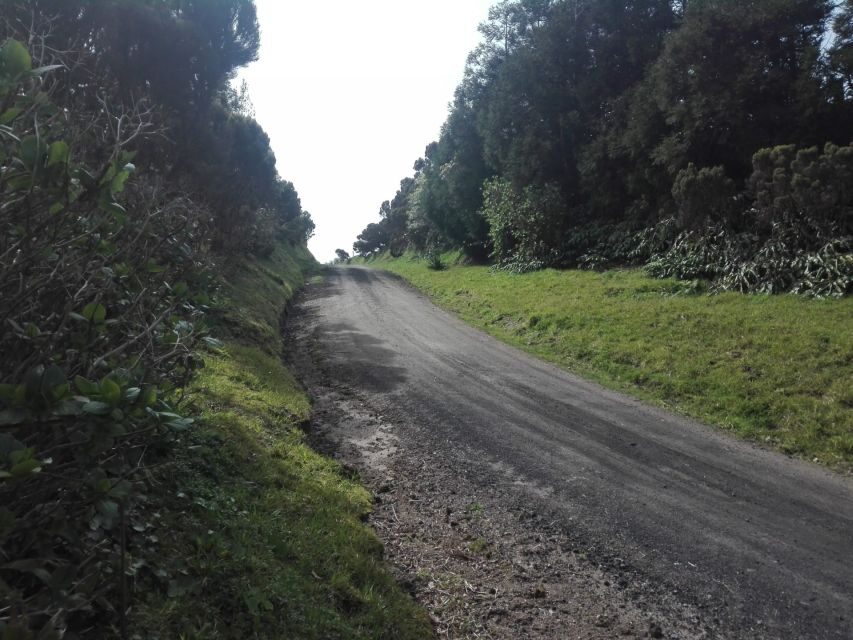 From Ponta Delgada: Vista do Rei to Sete Cidades Guided Trek - What’s Included and What’s Not