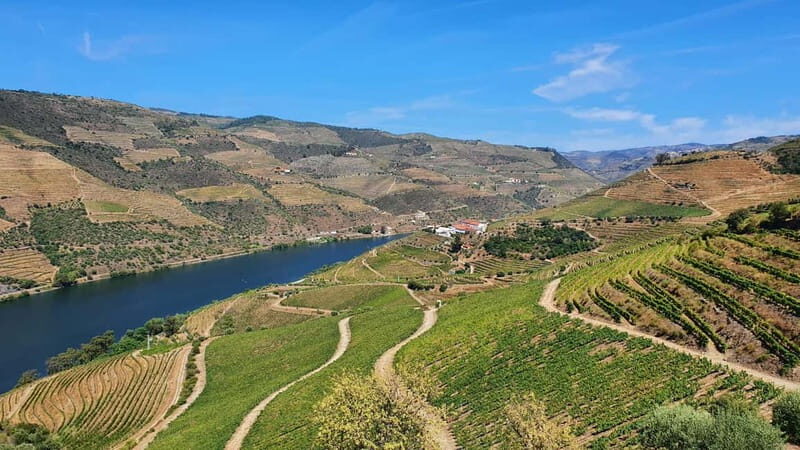 From Porto: Douro Valley Wine Tasting Tour With Hotel Pickup - A Detailed Look at the Douro Valley Tour