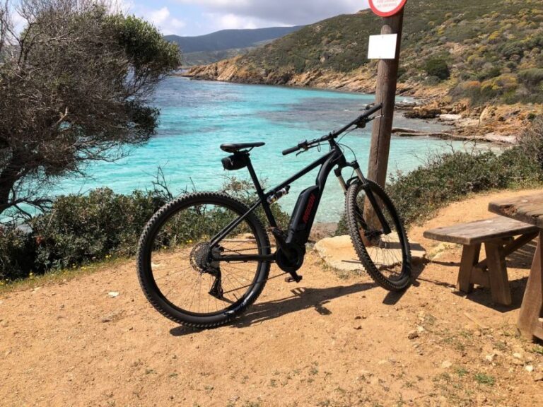 From Porto Torres: E-Bike Rental - Authentic Reviews and Insider Tips