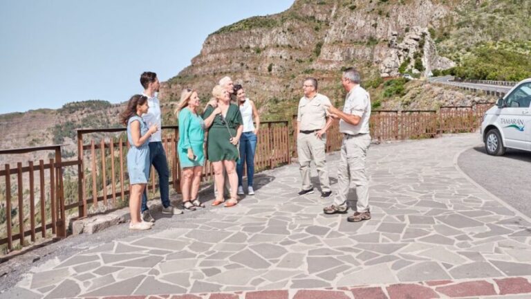 From Puerto de La Cruz: Full-Day Vip Tour to Gomera - A Detailed Breakdown of the Itinerary