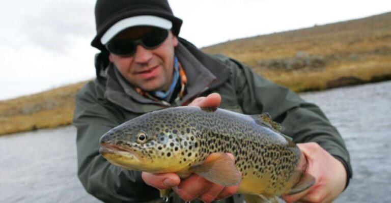 From Reykjavik: Lake and River Fishing Tour - Practical Details and Value