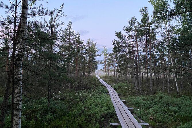 From Riga: Kemeri Bog Boardwalk and Jurmala Seaside - Exploring Kemeri Historical Park