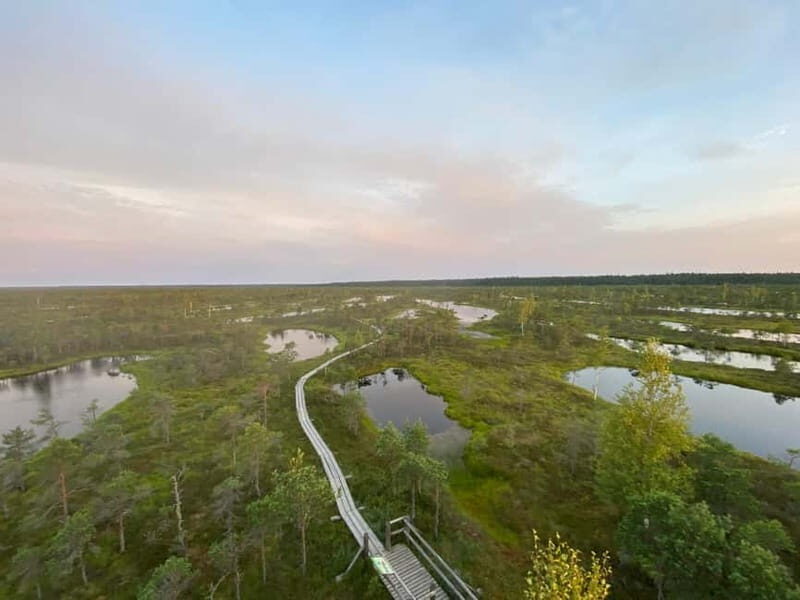 From Riga: Kemeri Bog & Seaside Jurmala - Kemeri Bog & National Park: Natures Quiet Marvel