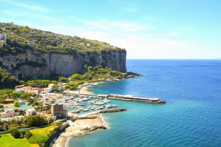 From Rome: Luxury Van Day Trip to Pompeii & Sorrento Lunch - Key Points