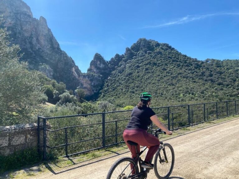 From Ronda: Via Verde de la Sierra Easy Cycling Tour - Is This Tour Right for You?