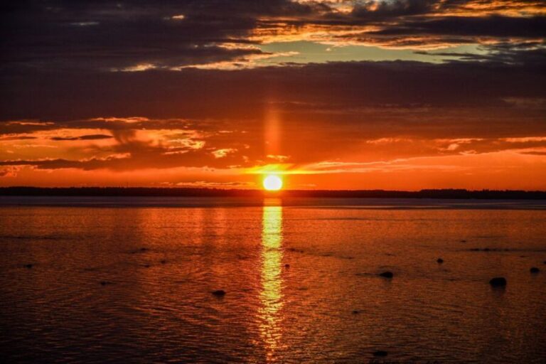 From Rovaniemi: Midnight Sun Forest Lake Float - Who Is This Tour Best For?