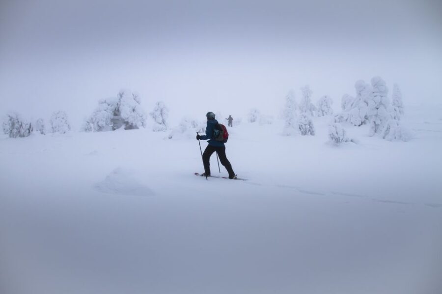 From Rovaniemi: Winter Wonderland Hike with a Hot Drink - Who Will Love This Tour?