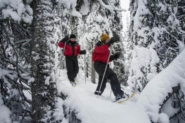 From Ruka: Snowshoeing in Oulanka National Park - Whats Included and What to Keep in Mind