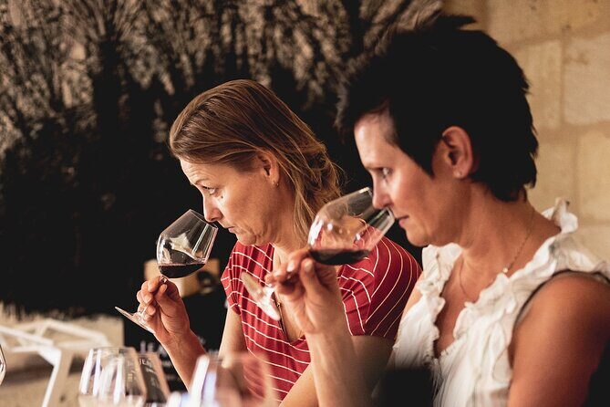 From Saint-Emilion : Half Day Electric bike Wine Tour - What Travelers Love Most