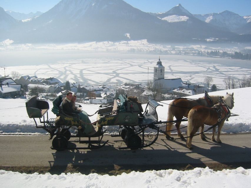 From Salzburg Romantic Carriage Ride through the Countryside - Practical Details & Value