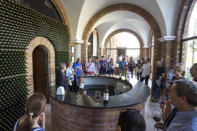 From San Sebastian/Bilbao/Vitoria: La Rioja Wineries Tour - Who Is This Tour Best For?