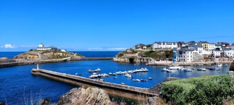 From Santiago: Tour to Cathedrals Beach, Lugo, and Asturias - Why This Tour Offers Good Value