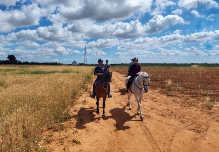 From Seville: Andalusian Horseback Ride - The Ride Itself: A Scenic 2-Hour Journey