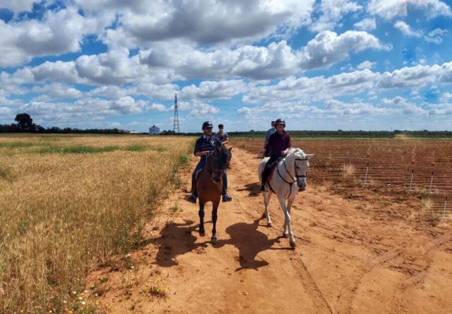 From Seville: Andalusian Horseback Ride - The Ride Itself: A Scenic 2-Hour Journey