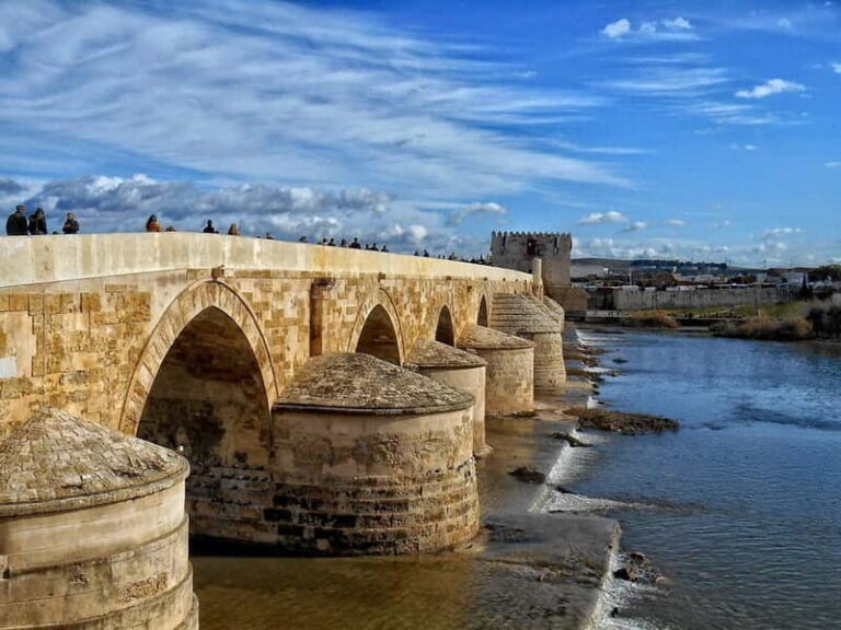 From Seville: Cordoba Day Trip with Guided Tour - What Travelers Say About This Tour