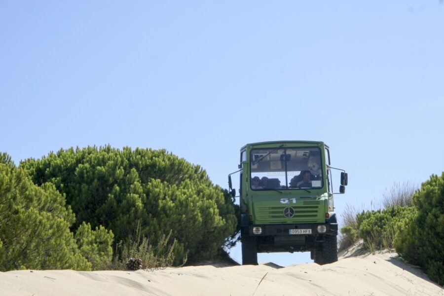 From Seville: Doñana Natural Park, El Rocio and Matalascañas - The Transport and Overall Experience