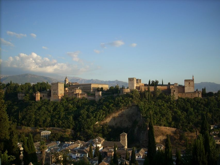 From Seville: Private Granada Day-Trip with Alhambra Visit - What Makes This Tour Stand Out?