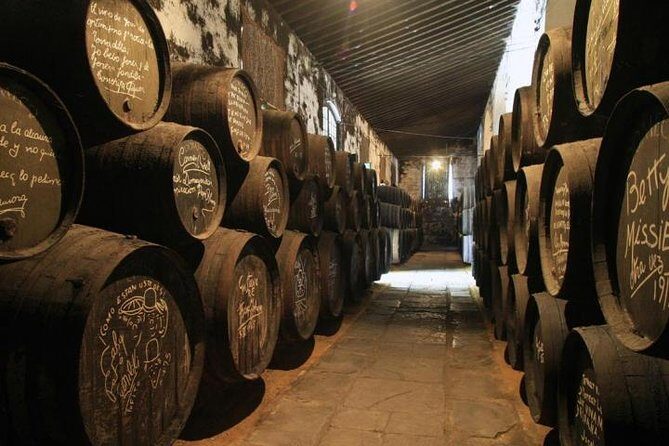 From Seville: Wine Tourism Half Day Tour - The Experience – What We Find Valuable