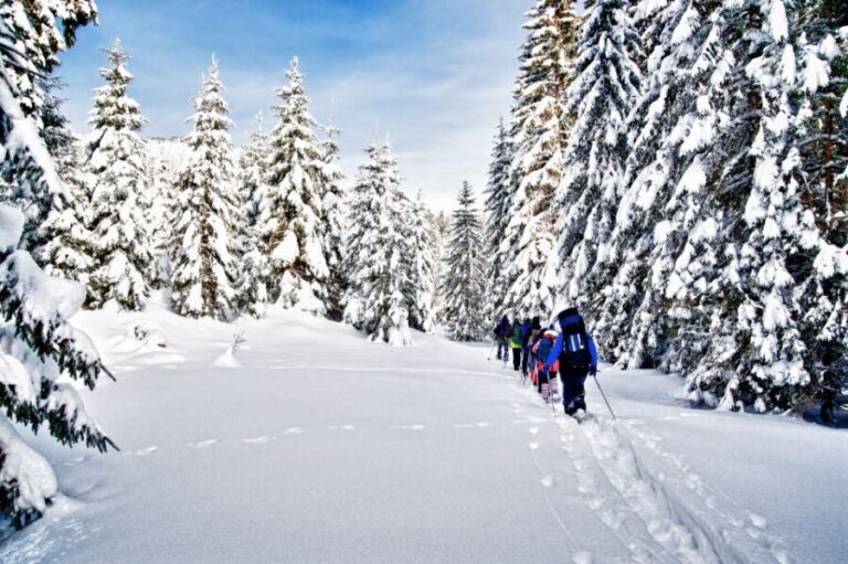 From Sirkka: Levi Summit Guided Nature Snowshoeing Tour - An In-Depth Look at the Levi Summit Guided Snowshoe Tour