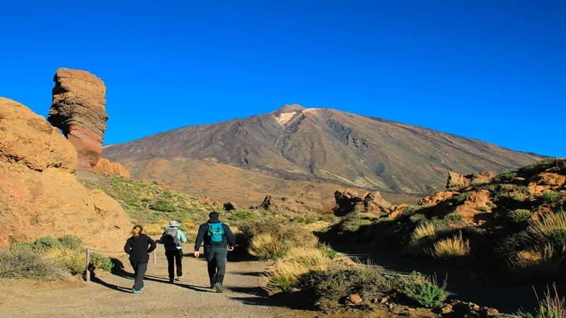 From South Tenerife: Half-Day Tour to Mount Teide - The Transport and Group Experience